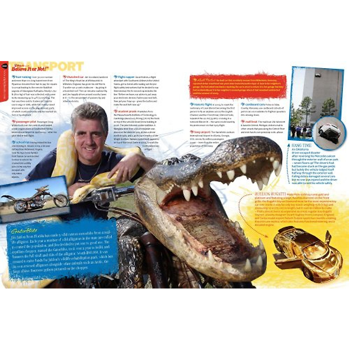 Ripley's Believe It Or Not! Strikingly True (8) (ANNUAL)