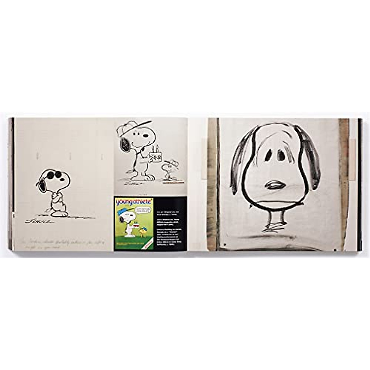 Only What's Necessary: Charles M. Schulz and the Art of Peanuts