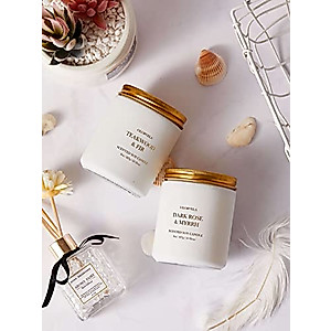 olorvela Candles for Men Candles for Home Scented Scented Candles Gifts for Women and Men 8oz, 50hr Burn Time, Teakwood & Fir Candle All Natural Soy Candles