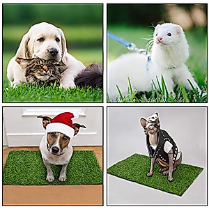 Aulock 2 Pcs Artificial Grass Guinea Pig Pee Pads- 15.7 × 23.6 Inch Fake Grass Rug Potty Training Replacement Artificial Turf for Puppy, Rabbits, Hamsters, Bunnies, Gerbils, Other Small Animals