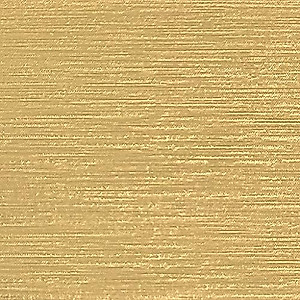 Trends International NFL Houston Texans - S. Preston Mascot Toro 20 Wall Poster, 14.725" x 22.375", Gold Framed Version