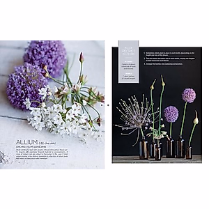 The Flower Recipe Book: 100 Magical, Sculptural, Seasonal Arrangements