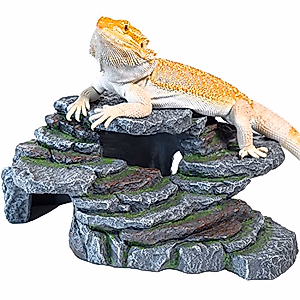 Magtara Cliff & Cave Hideout Rainforest Series - Reptile Ledge Hide, Basking Rock, Terrarium & Aquarium Decor, Decorative Resin for Lizards, Fish, Snakes, Amphibians, Small Animals