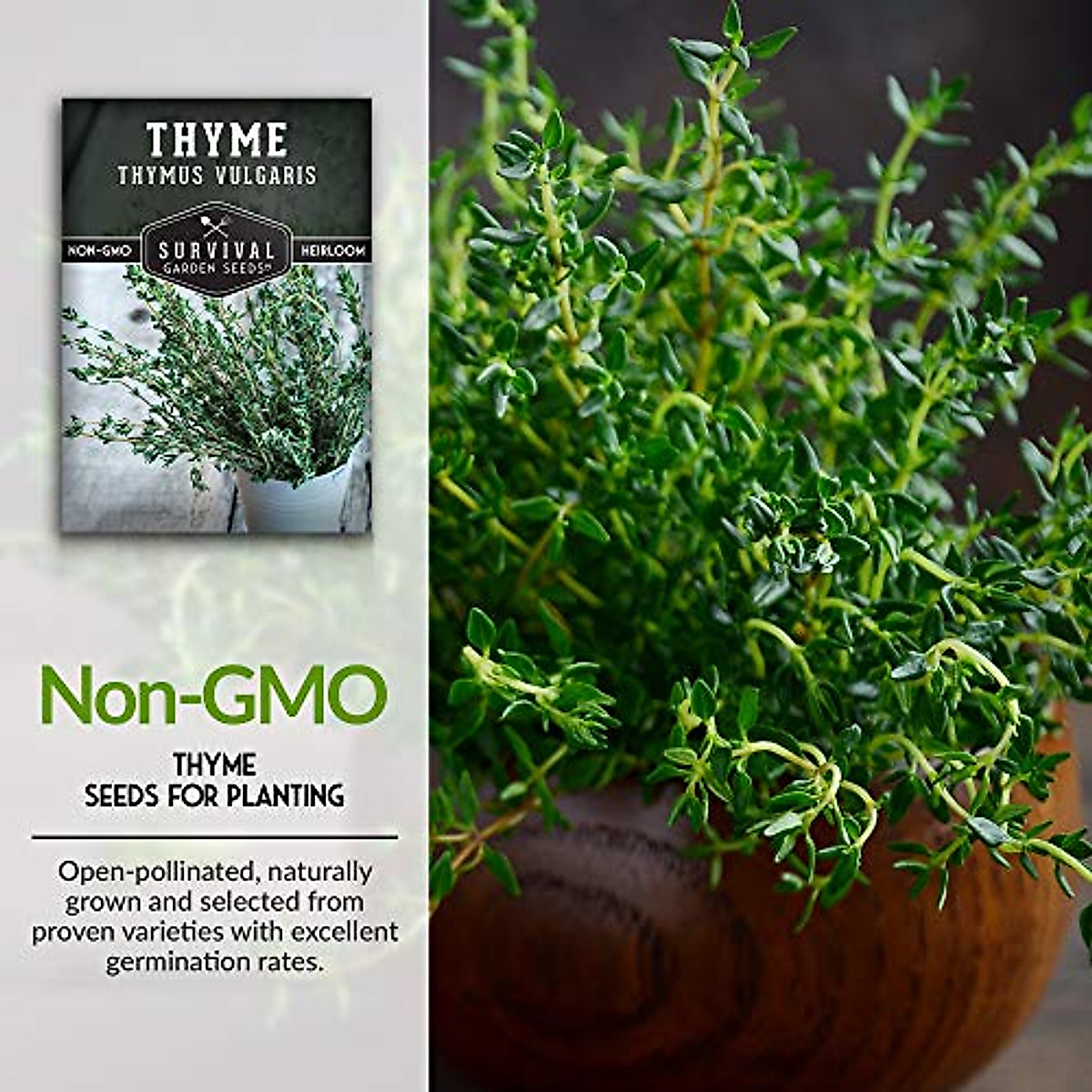 Survival Garden Seeds - Thyme Seed for Planting - Packet with Instructions to Plant and Grow Thymus Vulgaris Herb Plants in Your Home Vegetable Garden - Non-GMO Heirloom Variety