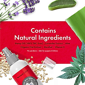 Petkin Hemp Anti Itch Spray for Dogs and Cats – with Hemp Oil & Calming Lavender Extract, 8 fl oz – Reduce Itching, Hot Spots and Skin Irritation – Soothes, Calms & Conditions