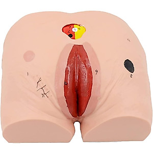 Human Wound Care Model Bedsore Nursing Human Model Pressure Ulcers Manikin Teaching Human Simulator for Nursing Teaching