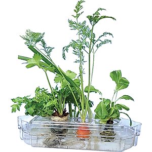Indoor Gardening System/Small/No Electricity Needed/All Year Round/Hydroponic Growing The Easy Way/Propagate-Regrow in Your Kitchen/I Re Grow