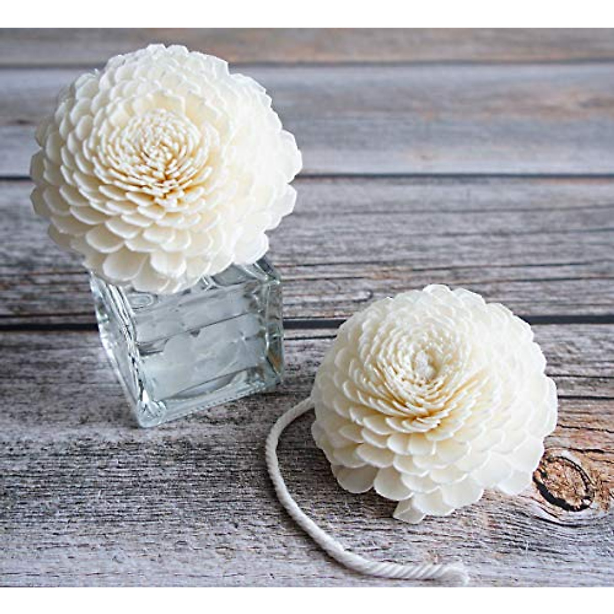 Mixed White Sola Flower with Cotton Wick Diffuser Set Replacement for Home Fragrance by Plawanature