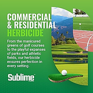 Albaugh Sublime Weed Killer, Unrivaled Defense Against Crabgrass, Creeping Charlie, Dandelions & More, Non-Bleaching, Fast-Acting, Commercial & Residential, 1 Quart