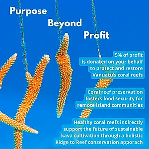 Instant Kava Tea Powder Kelai - Volcano Island’s Secret - 12+ Servings - Noble Kava Juice from Epi Island Vanuatu - Stress Release & Mood Support - Non-Habit Forming - Easy Mix 30:1 Concentrate