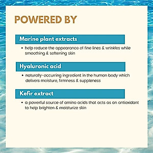 Quench Hydrating Primer - Rainforest Of The Seaâ„ Collection