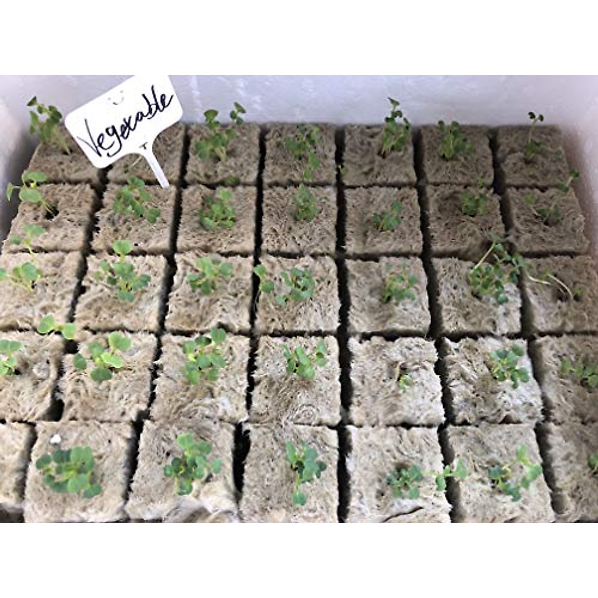 1.5” Rockwool Starter Plugs for Hydroponics, Rockwool Grow Cubes, 1 Sheets of 28 Plugs (Small)