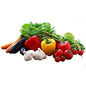 EZ-gro 20 20 20 Fertilizer - All Purpose Liquid Plant Food - Lawn, Flower, Herb, Vegetables - Best Way to Grow Green Plants - Garden-Growing Miracle Nutrients - 1 Qt / 32 fl oz / 946 mL