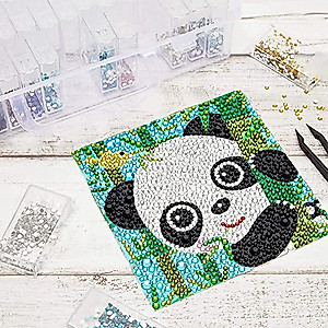 Diamond Painting Case with 64 Rhinestone Storage Boxes, 196 Labels (8.75 x 5 x 2.1 in)