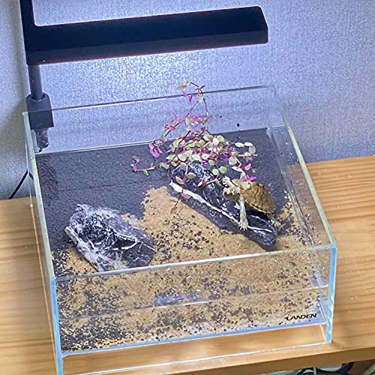 LANDEN Natural Tonwa Stones Slate Stones for Aquariums Terrariums, Paludarium,Vivariums, Reptile and Amphibian Enclosures (17lbs, 2 to 8 inches)