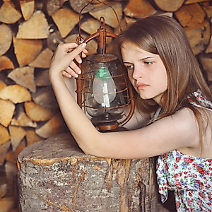 30 Pieces Propane Lanterns Mantles, Gas Lamp Mantles Gas Lantern Mantles Propane Lantern Mantles U Shape Mantles for Gas Lantern Covers Mantles for Outdoor Camping Hiking Kerosene Light Natural