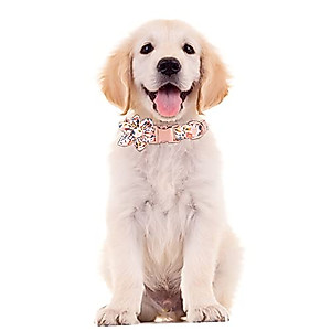 Large Nylon Dog Collar 3 Adjustable Sizes Personalized Flower Tie Cotton Girls Dog Collar with Metal Buckle Puppy Collars for Small Medium Large Dog Pet Gift
