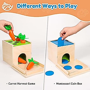 Woodtoe Montessori Toys for Babies 3 Year Old, Wooden Educational Toy, 5 in 1 Play Kit Set with Object Permanence Box, Baby Tissue Box, Carrot Harvest, Coin Box, Toddler Early Development Toy for Baby