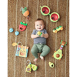 Skip Hop Baby Musical Toy Set, Farmstand, Berry Cute Band