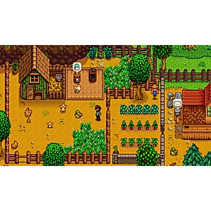 Stardew Valley Collector's Edition (PS4)