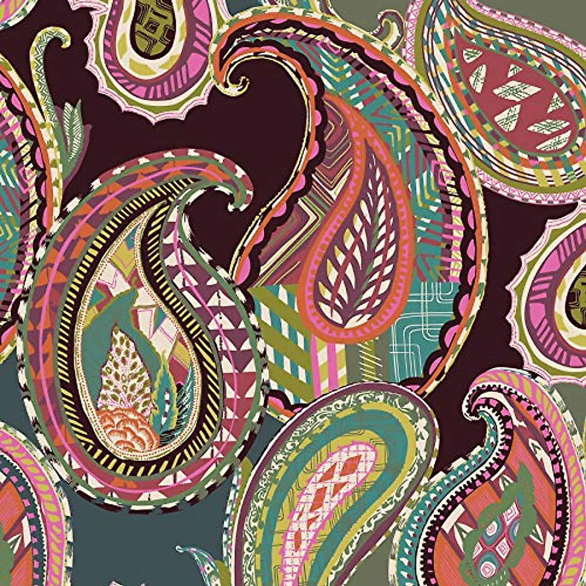 Vera Bradley Sunglasses/Eyeglasses Clamshell Hard Case (Heirloom Paisley, Sunglasses Case)