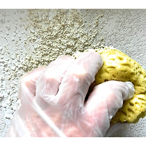 Stepsaver Products Orange Peel and Knockdown Texture Combo Sponge