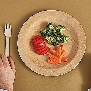 Sihuuu Disposable Wooden Forks, Natural Birch Wood Forks, Cutlery Taster, Green Plain Forks(100 PCS)