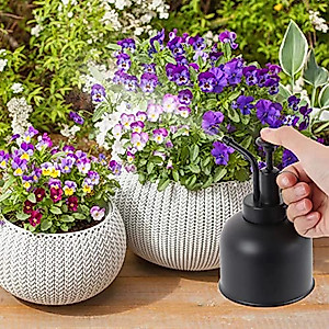 Plant Mister Spray Bottle, Metal Stainless Steel Plant Sprayer Mister, Small Watering Can Plant Spritzer with Top Pump for Indoor House Air Plants Succulents Outdoor Garden Decorative(Matte Black)