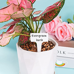 HOVEOX 200PCS Plastic Plant Tags, T-Type Markers Nursery Garden Labels Stakes for Gardening Green House Humidity Dome Orchard Botanical Garden (White)