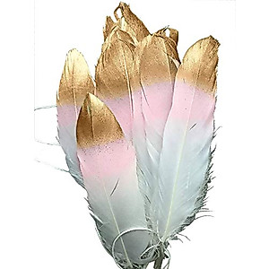 Feather Garland Decorations 10 Foot on a String Banner, Blush Pink and Gold Dipped Glitter Tipped White, Tribal Nursery, Girls Dorm Room, Boho Chic