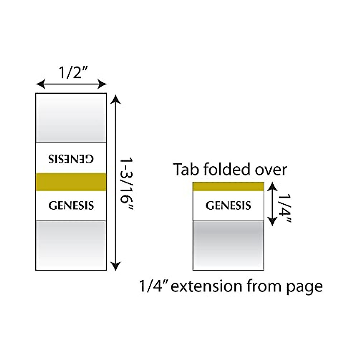 Tabbies Mini Gold-Edged Bible Indexing Tabs, Old & New Testament, 80 Tabs Including 64 Books & 16 Re