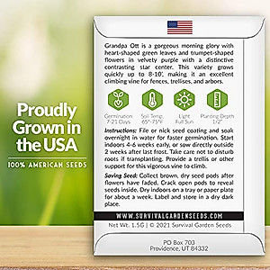 Survival Garden Seeds - Grandpa OTT Morning Glory Seed for Planting - Packet with Instructions to Plant and Grow Ipomoea Purpurea in Your Home Vegetable Garden - Non-GMO Heirloom Variety
