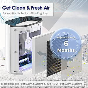 True HEPA Pure-Zone Air Purifier Replacement Filter Compatible with Pure Enrichment PureZone Air Purifier Filter and PureZone 3-in-1 Air Purifier PEAIRPLG, 2 H13 True HEPA Filter & 8 Extra Pre-Filter