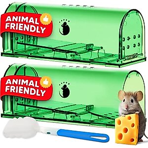 Humane Mouse Traps Indoor for Home Mice Traps for House Indoor No Kill Live Catch Mouse Trap Smart Traps That Work Animal Rodent Catch and Release Double Mousetraps Easy Set Reusable Hotel - 2 Pack
