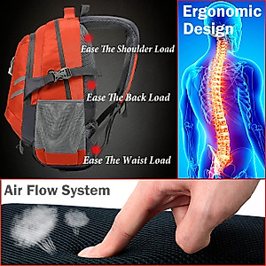 Backpack Bookbag for College Laptop Travel, Fit Laptop Up to 15.6 inch Multi Compartment with USB Charging Port Anti theft, Gift for Men Women (Orange)