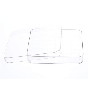 Scicalife 10 Sets Square Petri Dish with Lids, Plastic Material, Container for School Lab Science Experiment