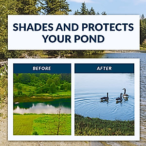Airmax 4X Concentrated Nature's Blue Liquid Pond Dye, 4X Liquid Concentrate, Treats Like 1 Gallon, Ecofriendly, Clean & Clear Water, No Mixing, Enhances Natural Color, Treats up to 1 Acre, 1 Quart