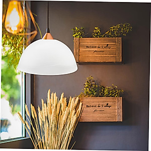 OSALADI Pendant Light Shade Glass Case Frosted Glass Lamp Shade Chandelier Shade Ceiling Fan Light Covers Pendant Lampshades for Bedroom, Living Room Pendant Light Shade Glass Case