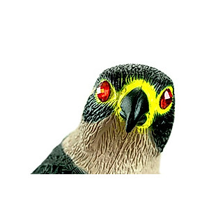 Bird-X Falcon Predator Decoy Bird Scare
