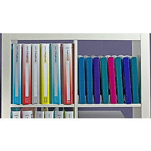 Snopake A4 2 O-Ring 25 mm RingBinder – Classic Yellow [Pack of 10] Ref: 10182