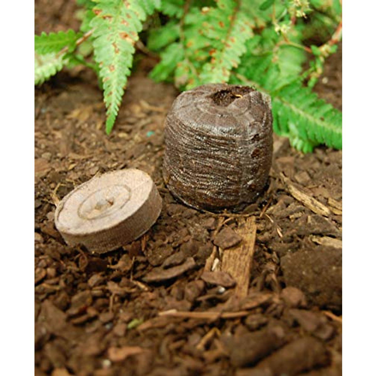 jiffy-7 Peat Pellet 36mm Seed Starting - 100 ea by Growers Solution