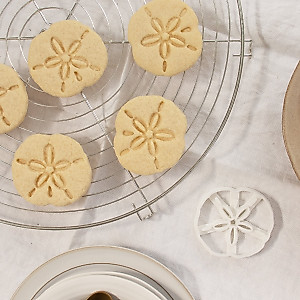 Sand Dollar cookie cutter, 1 piece - Bakerlogy