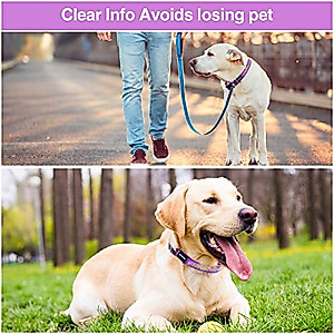 Personalized Dog Collar Adjustable Dog Collar Fadeproof Custom Embroidered with Pet Name and Phone Number, 11 Thread Color Options for Boy and Girl Dogs