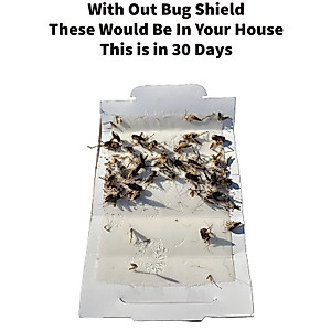 Bug Shield Sticky Glue Traps 36 Glue Boards, All Types of Incets, Spiders, Cockroaches, Ants, Cave Crickets, and More.Professional Strength Glue.
