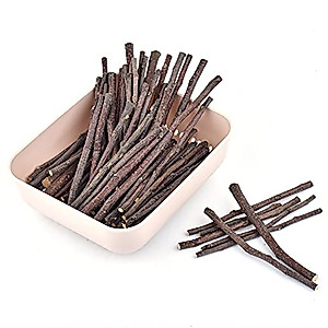 ERKOON 300g or 500g Natural Apple Sticks Small Animals Molar Chew Toys Apple Branch Chew Treats for Hamster Rabbit Chinchilla Bunny Guinea Pig Squirrel 