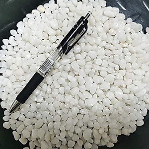 Tonmp 2 lb Natural Polished White Stones 3/8" Gravel Size Polished River Rock Pebbles for Succulents Cactus Bonsai. Decorative fillers. Aquariums and terrariums