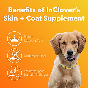 In Clover Dog Skin and Coat Supplement, BioRadiant Natural Supplement for Dogs, Healthy Skin and Coat Supplement, Fish Oil Alternative Uses Carrots, Coconut, Omega 3's, Biotin and Zinc Soothe Skin