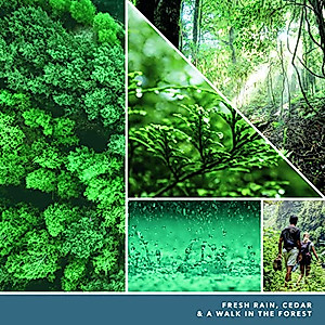 Yankee Candle Bayside Cedar Signature Medium Pillar Candle, 14.25oz