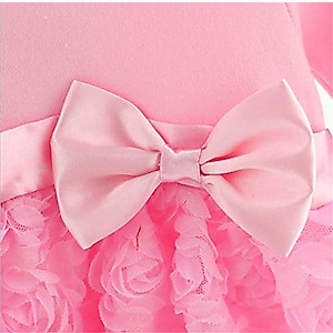 Niyage Baby Girls Clothes Dress Headband Shoes 3 Pcs Set Flowers Party Outfit Floral Dress-Pink 0-3 Months
