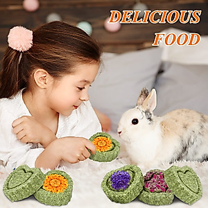 SYWHXY 20PCS Bunny Chew Toys, Rabbit Toys for Bunny's Teeth Organic Timothy Hay Cakes for Rabbits, Chinchilla, Hamster, Guinea Pig Reliable Rabbit Chew Toys for Teeth
